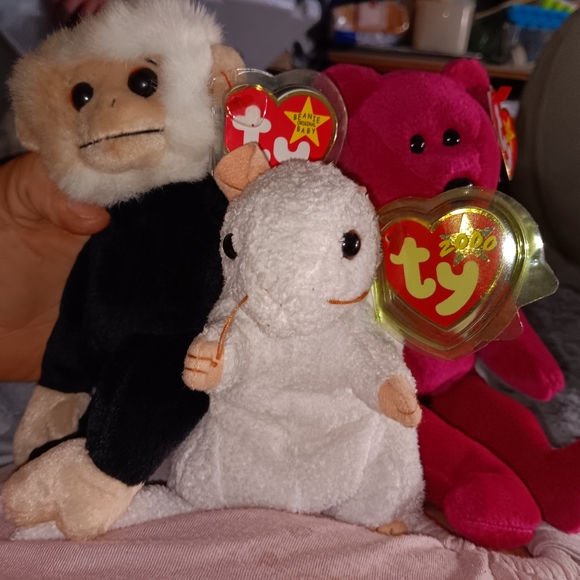 Toys | Rare Bean Babies | Poshmark